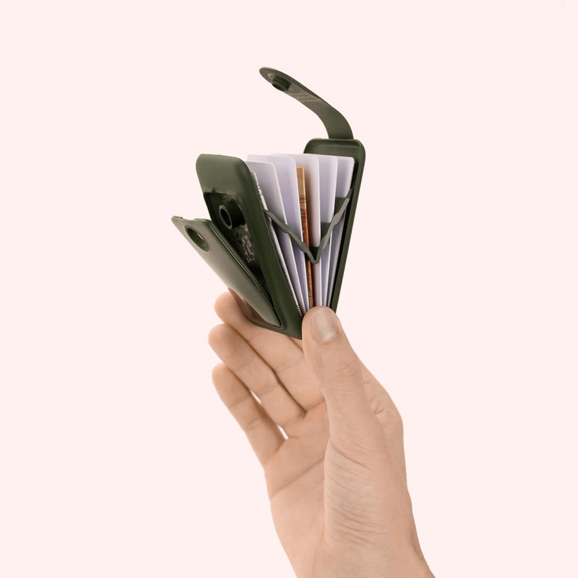 Armonica + – Bazza